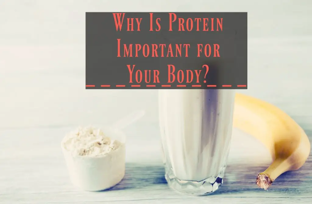 Why Is Protein Important for Your Body? - The Healthy Apron
